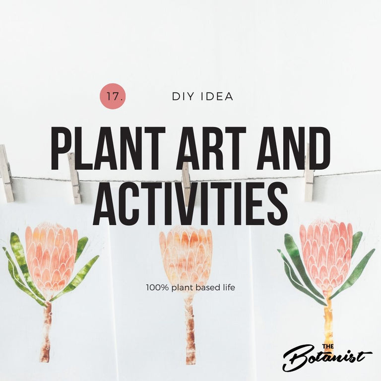17. Plant art and activities – The Botanist Dubai
